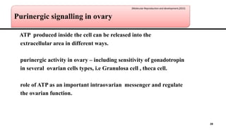 Purinergic receptor 1 | PPTX