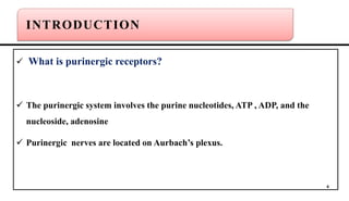 Purinergic receptor 1 | PPTX
