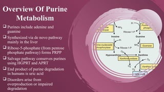 Purines And Pyrimidine - Genetic Material Across Generations | PPTX
