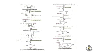 Purines metabolism.pptx
