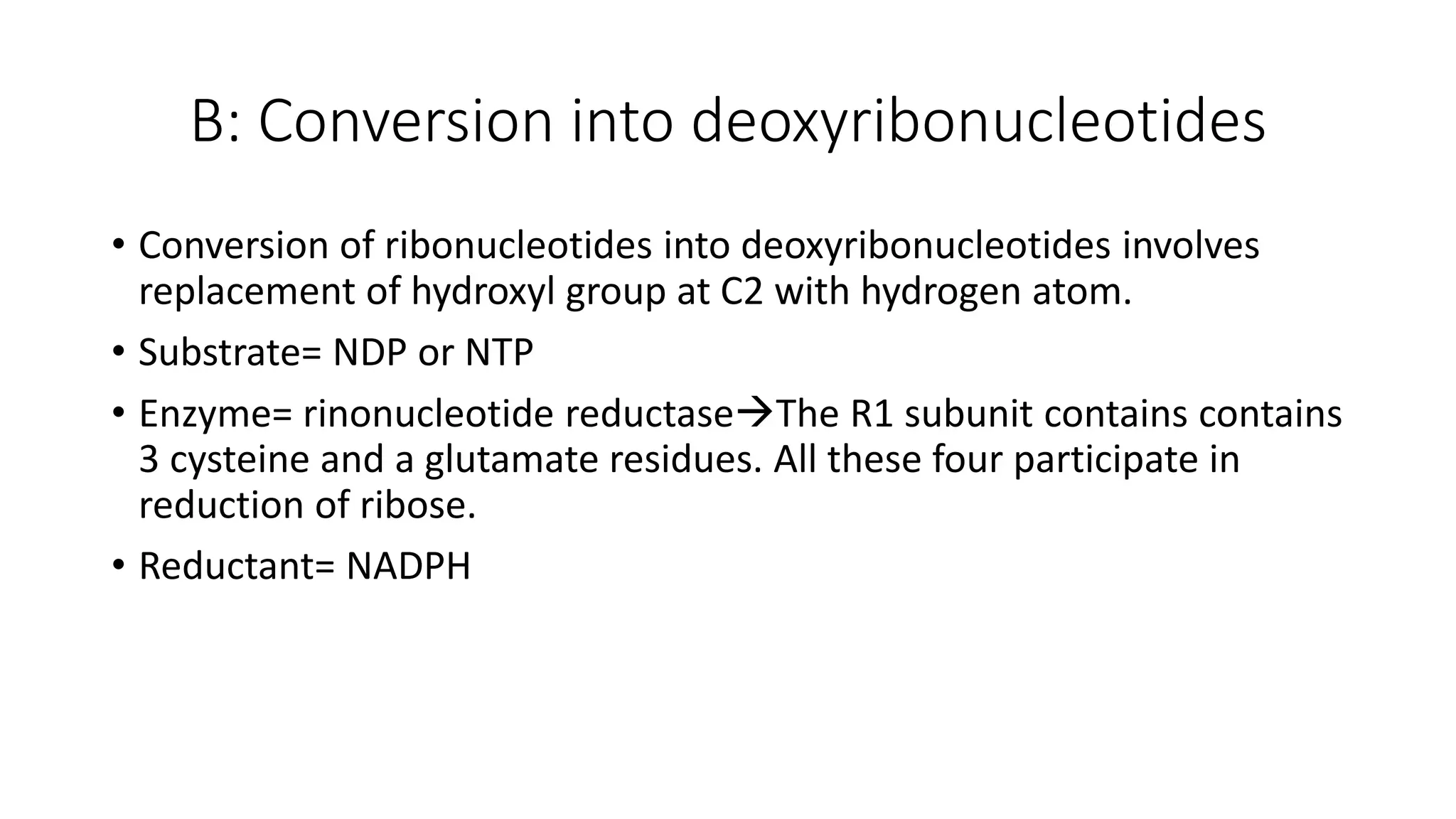 Purines synthesis and catabolism process | PPTX