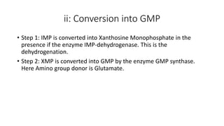 Purines synthesis and catabolism process | PPTX