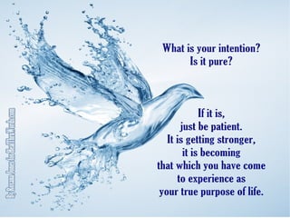 Purity of Soul- I | PPT | Islam | Religion & Spirituality