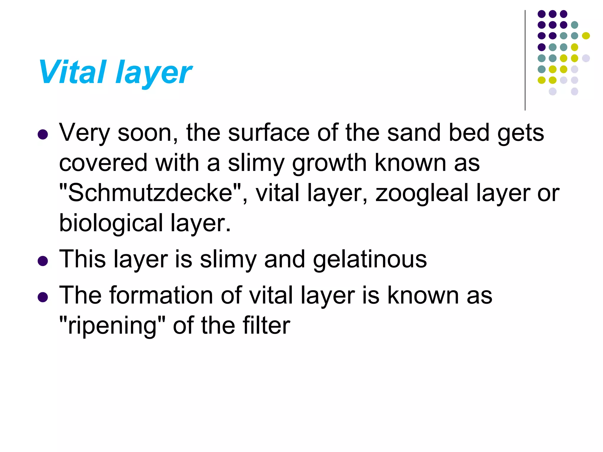 ENVIRONMENT AND HEALTH.ppt 1.ppt