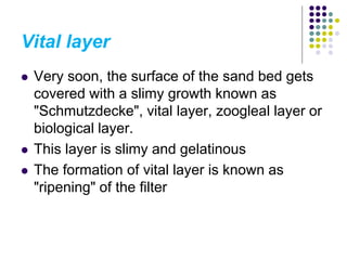 ENVIRONMENT AND HEALTH.ppt 1.ppt
