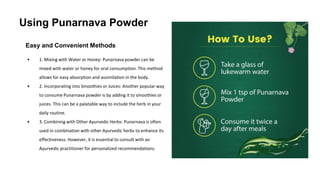 Punarnava: A Herbal Elixir for Wellness | PPTX