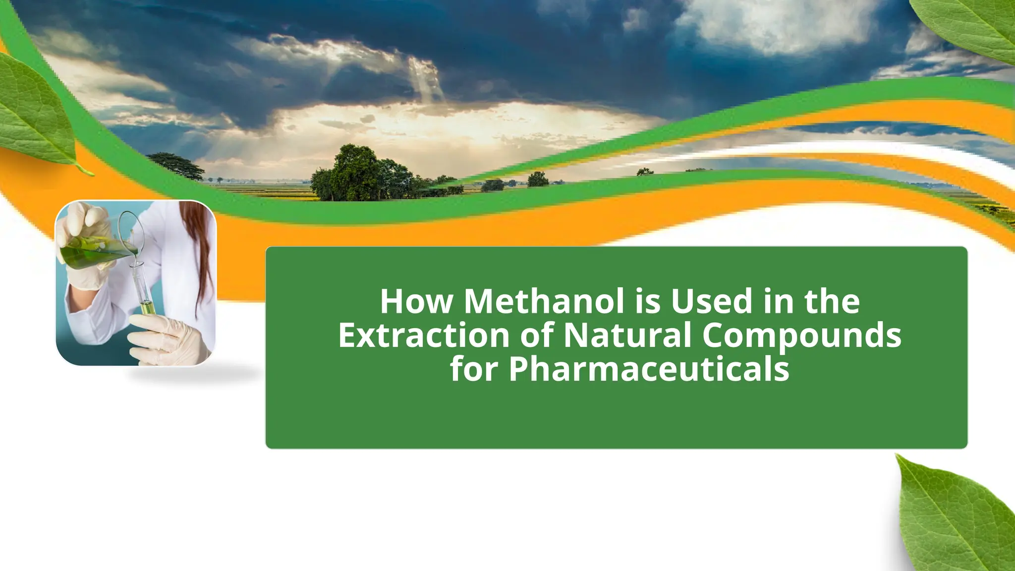 Methanol’s Role in Extracting Natural Pharma Compounds | PPTX