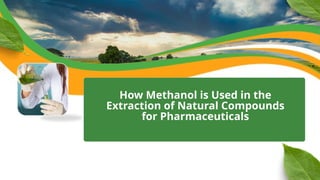 Methanol’s Role in Extracting Natural Pharma Compounds | PPTX