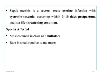 purperal disease - endometritis metritis pyometra prolaps retained ...