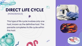 microbiology and parasitology college -parasite | PPT