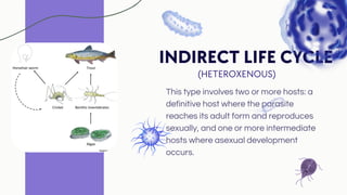 microbiology and parasitology college -parasite | PPT