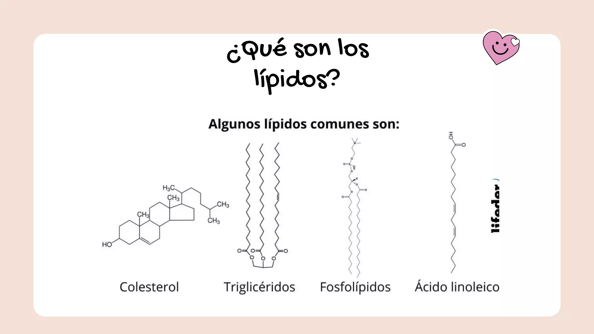 Los lípidos y ácidos grados | PDF