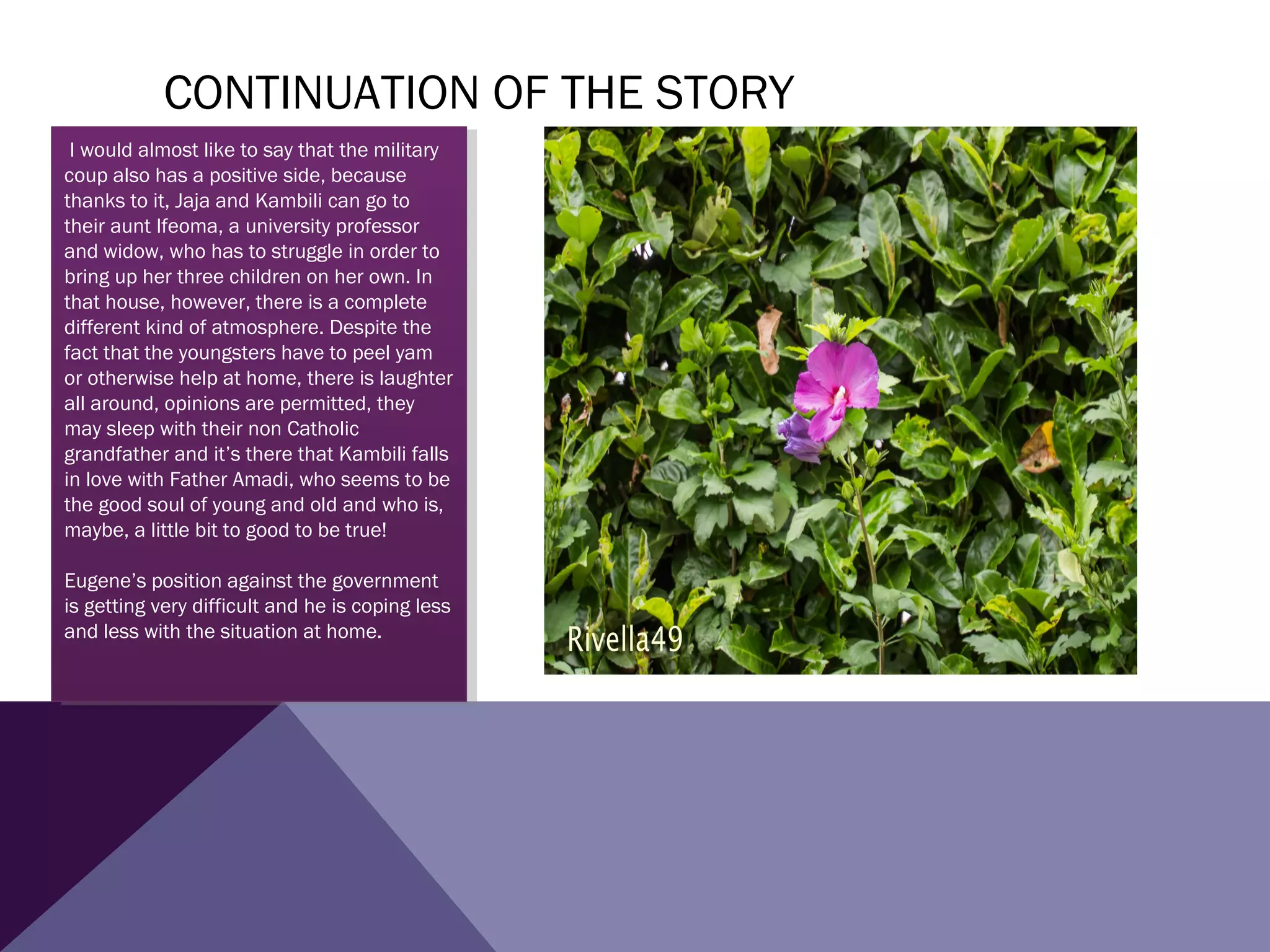 Purplehibiscus2 | PPT
