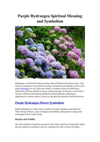 Purple Hydrangea Spiritual Meaning and Symbolism.docx