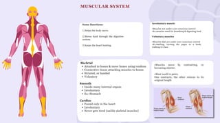 Purple Illustrative The Human Body Presentation.pdf