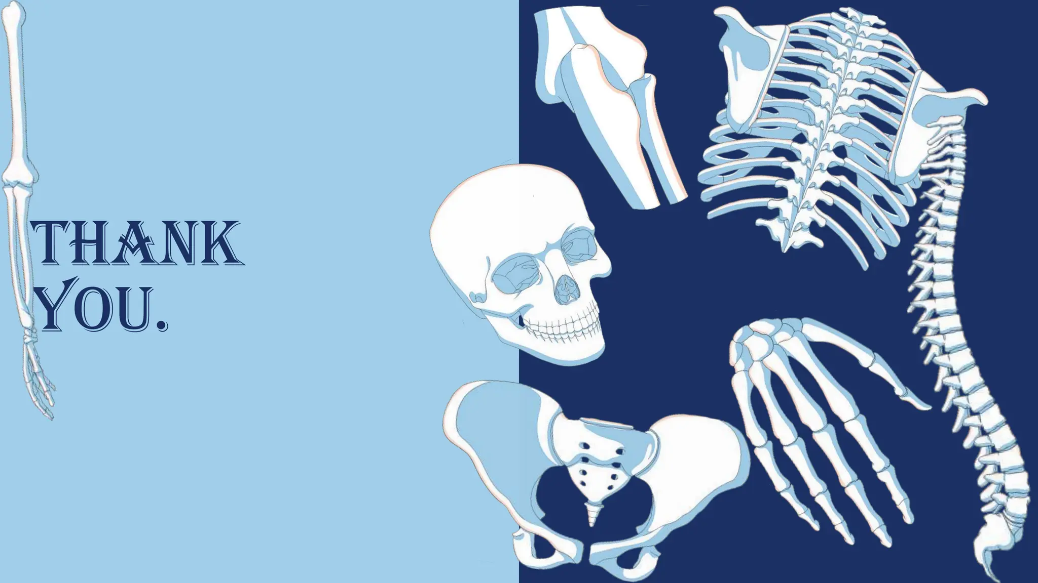 The Human Body and movements presentation | PPTX