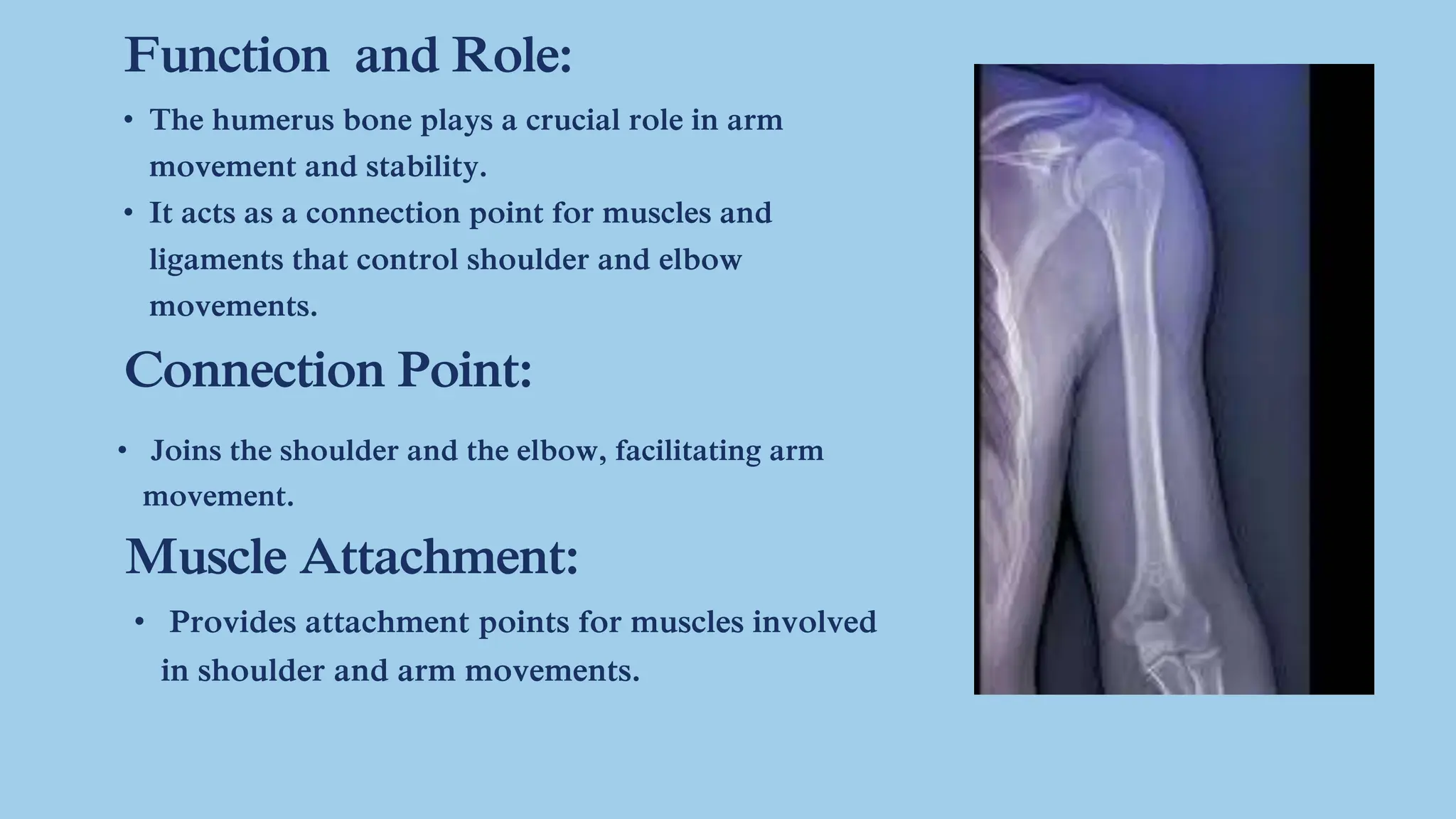 The Human Body and movements presentation | PPTX