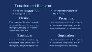 The Human Body and movements presentation | PPT