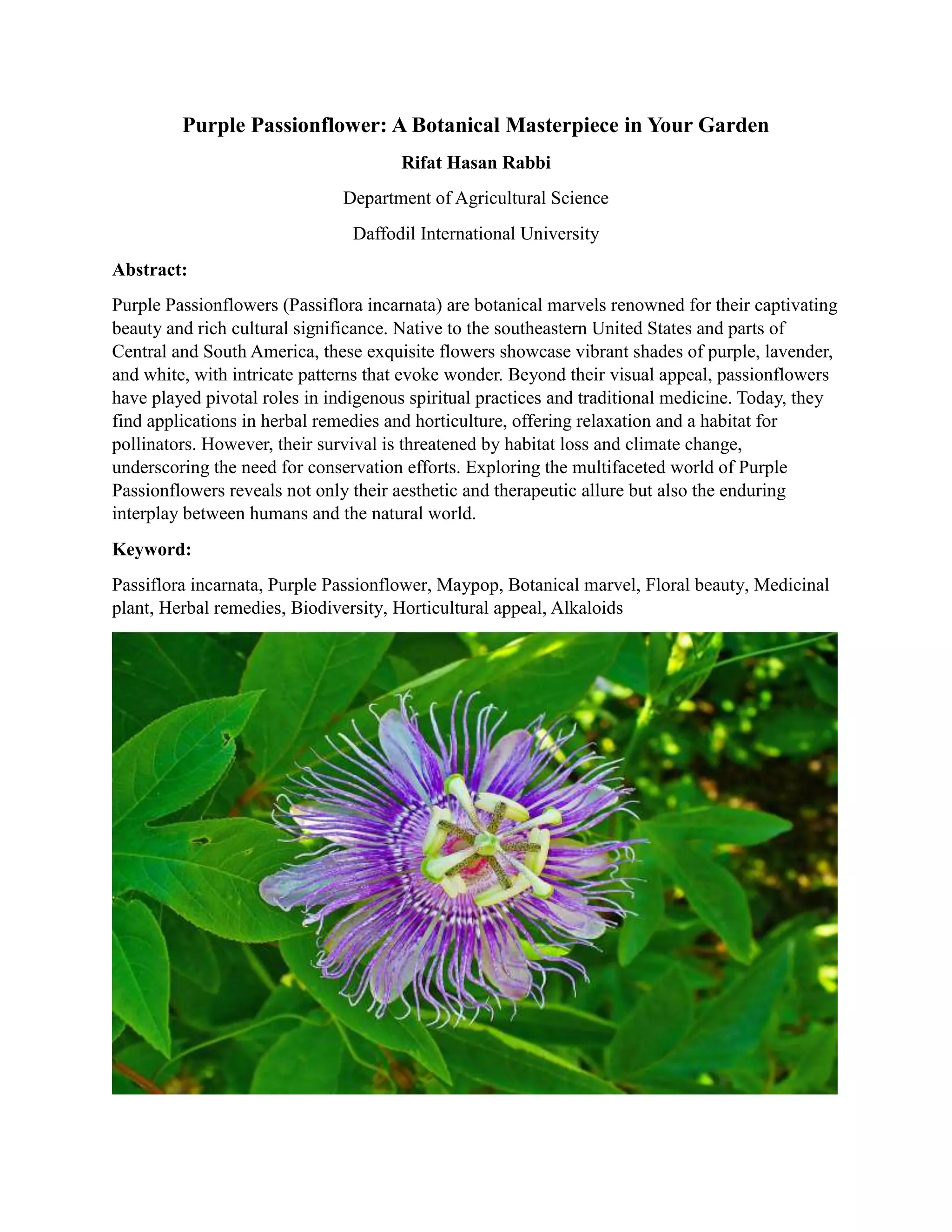 Purple Passionflower: A Botanical Masterpiece in Your Garden | DOCX