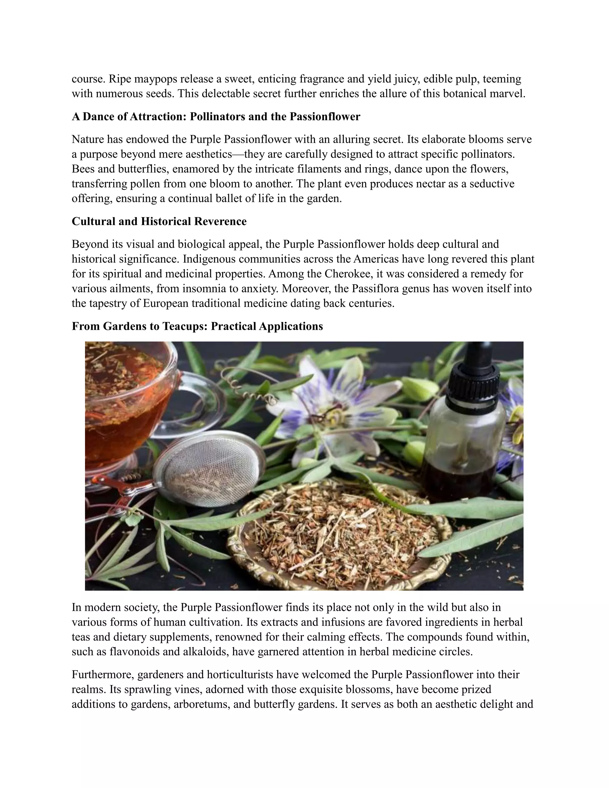 Purple Passionflower: A Botanical Masterpiece in Your Garden | DOCX