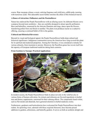 Purple Passionflower: A Botanical Masterpiece in Your Garden | DOCX