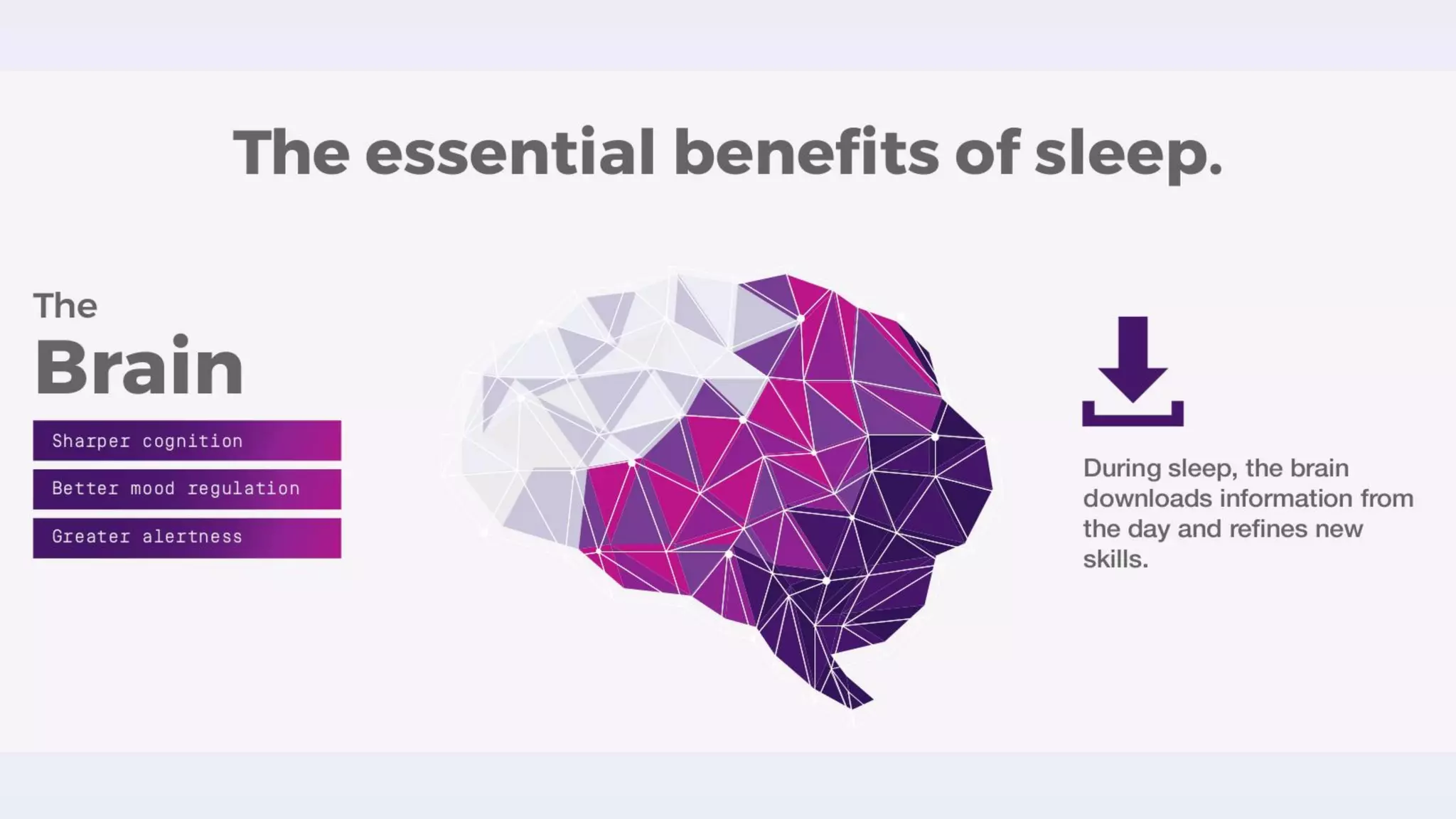 Purple Slideshow | PPT