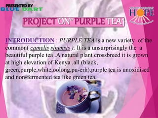 Purple tea ppp | PPT