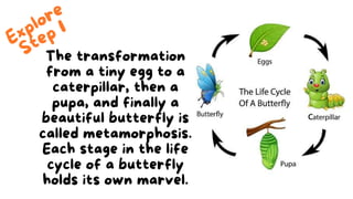 5D Thinking Presentation: The Butterfly's Secrets | PPTX