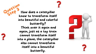 5D Thinking Presentation: The Butterfly's Secrets | PPTX