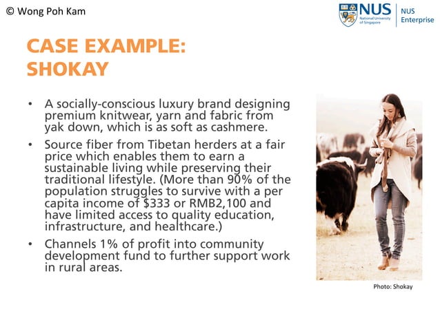 Purpose-Driven Approach to Business Model Design (Version 2.5 - May ...