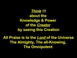 Purpose Of Creation | PPS