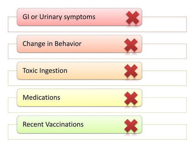 purpura ppt.pptx | Blood Disorders | Diseases and Conditions