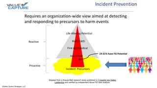 Pursuing Zero Harm: A Powerful Platform for Embedding Lean Capability | PDF