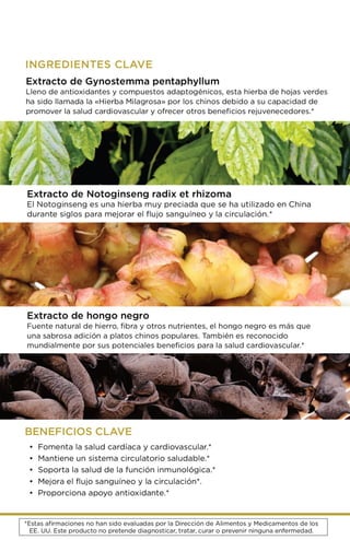 Purus NHT | PDF