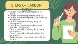 Carbon Cycle - Food and Environmental Microbiology | PPTX