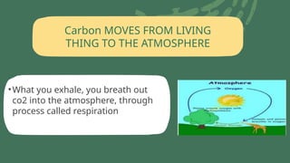 Carbon Cycle - Food and Environmental Microbiology | PPTX
