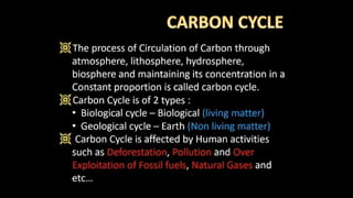 Carbon Cycle - Food and Environmental Microbiology | PPTX