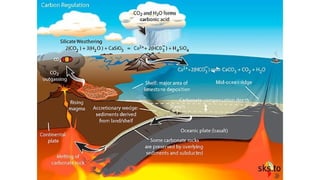Carbon Cycle - Food and Environmental Microbiology | PPTX