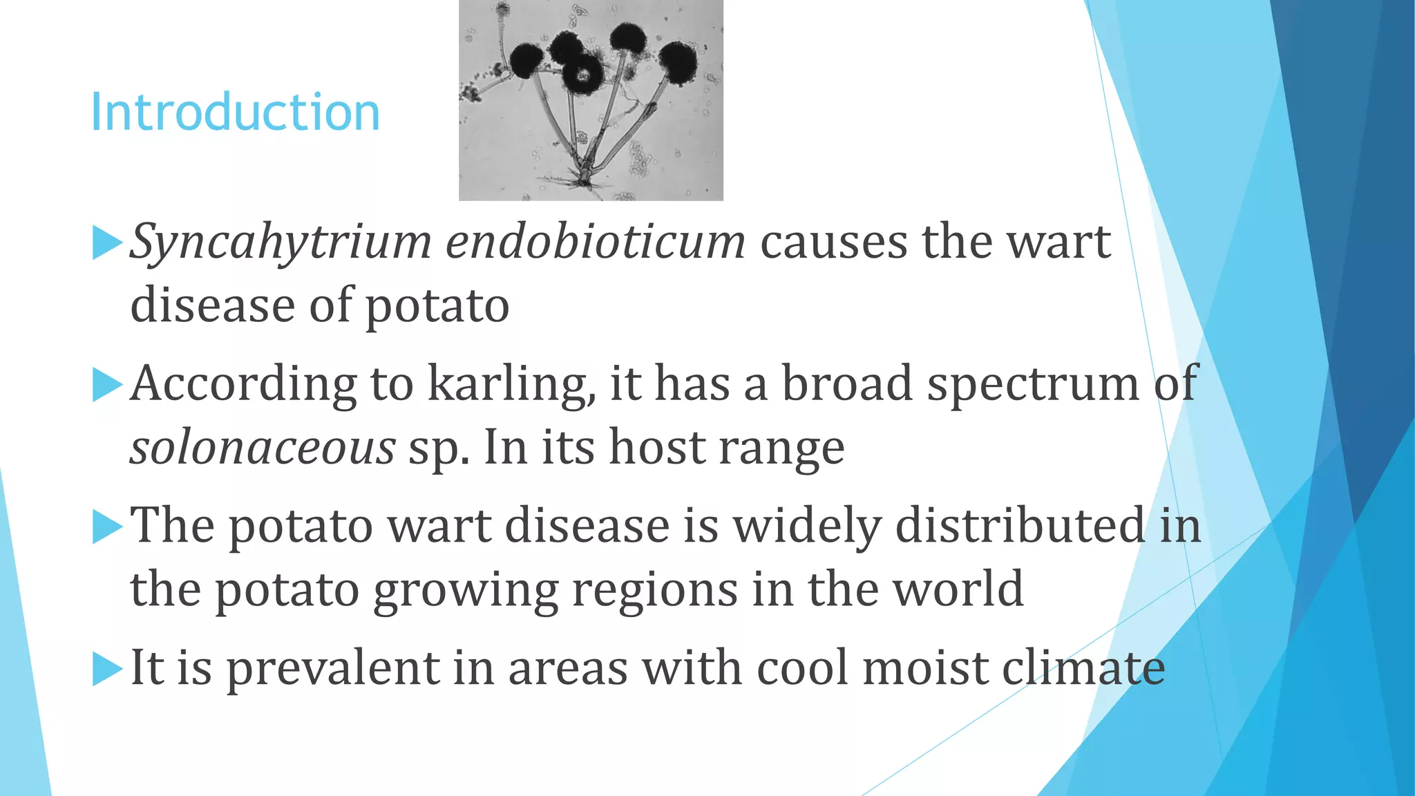 Potato wart disease | PDF