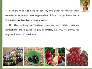 Farmers Right | PPTX