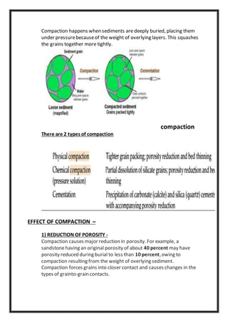 Sedimentary questions | DOCX | Geology | Science