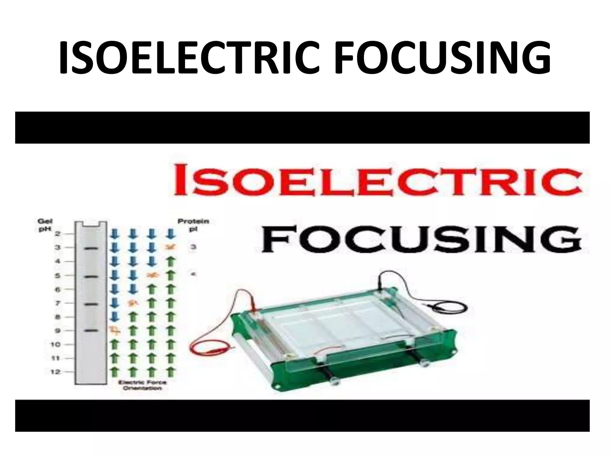 ISOELECTRIC FOCUSING PPT - SLIDE SHARE | PPTX