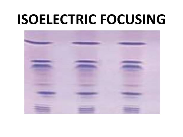 ISOELECTRIC FOCUSING PPT - SLIDE SHARE | PPTX