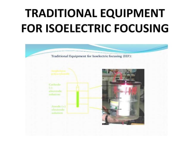 ISOELECTRIC FOCUSING PPT - SLIDE SHARE | PPTX