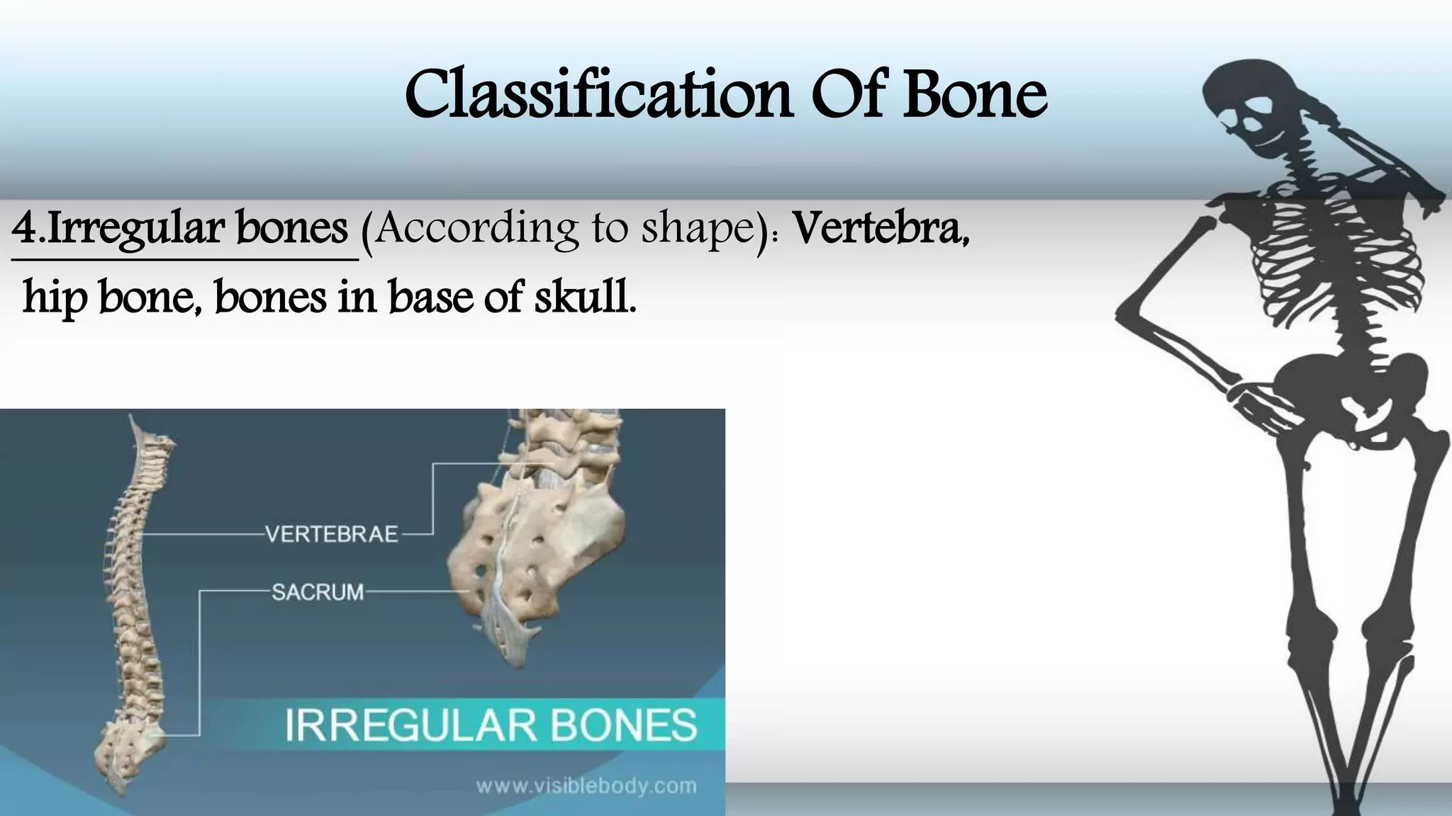 Purvi shah anatomy of bone ppt | PPTX