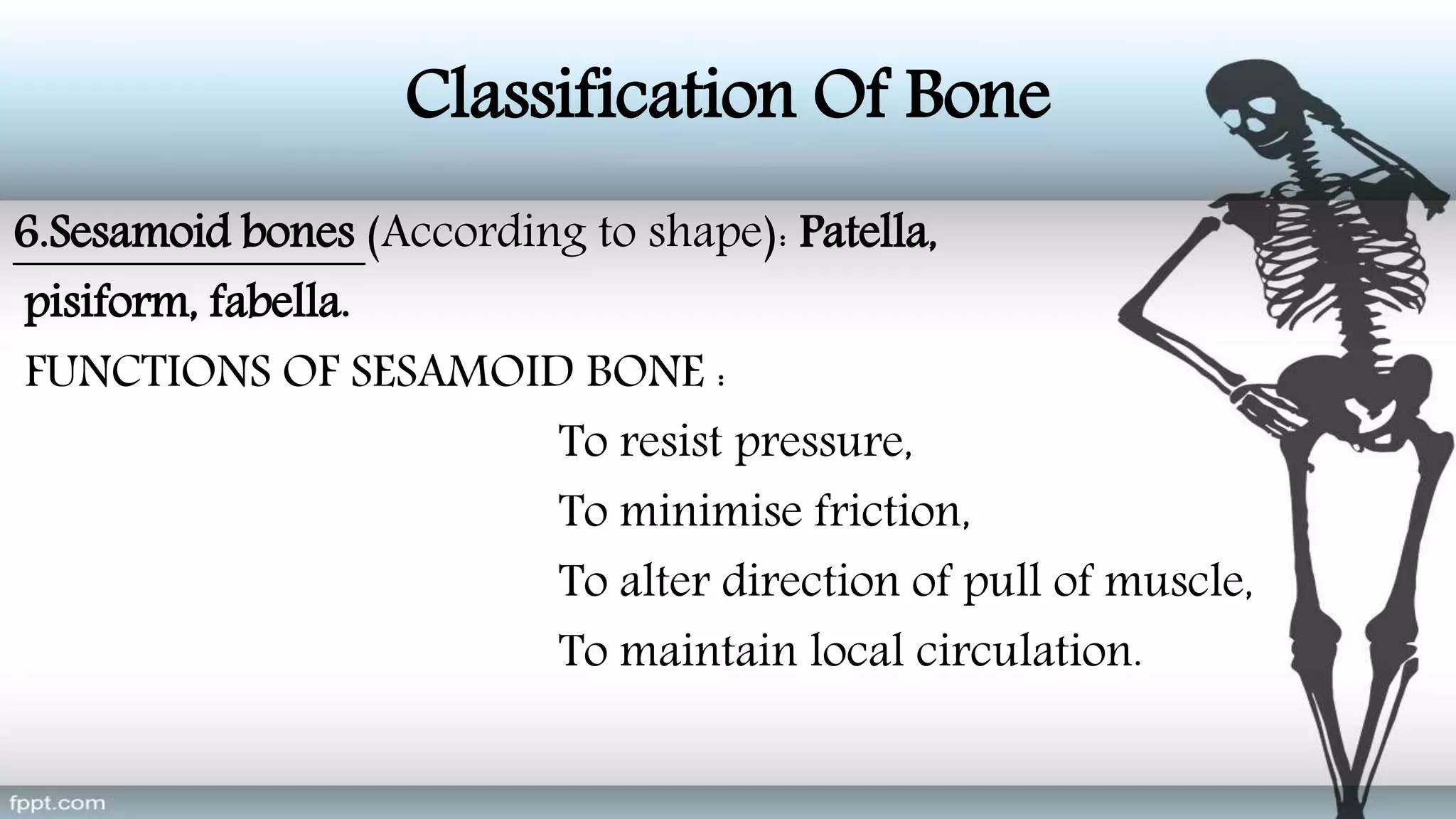 Purvi shah anatomy of bone ppt | PPTX