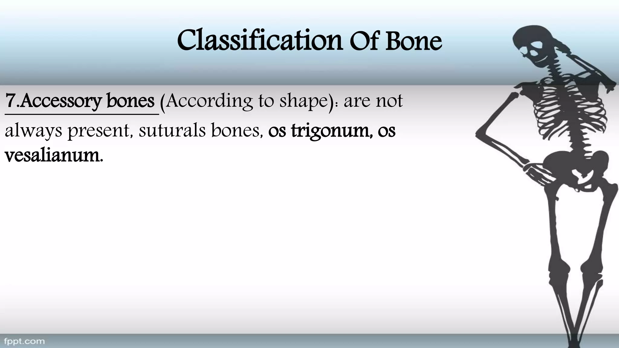 Purvi shah anatomy of bone ppt | PPTX