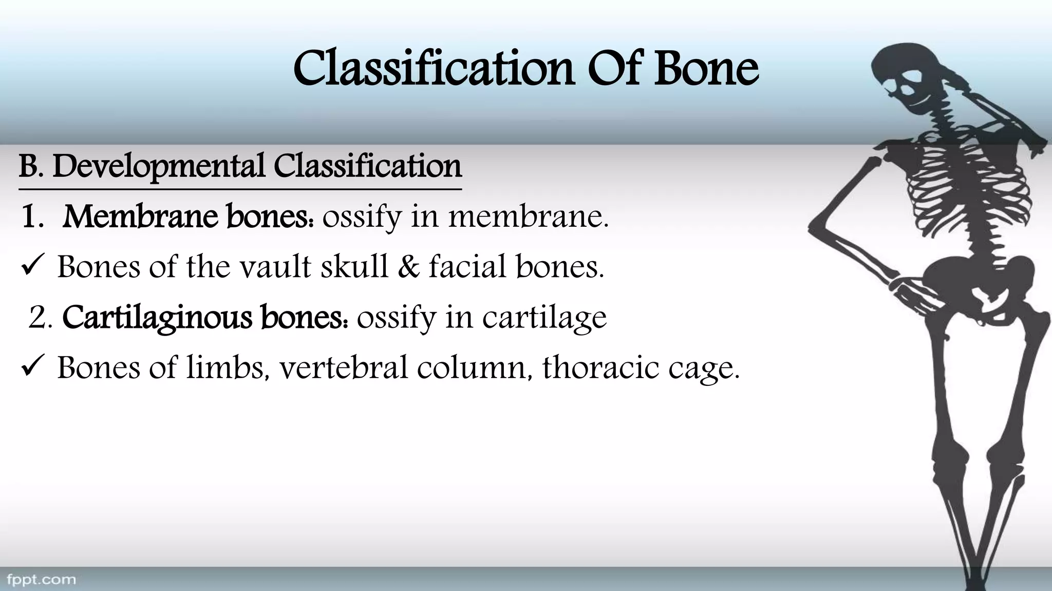 Purvi shah anatomy of bone ppt | PPTX