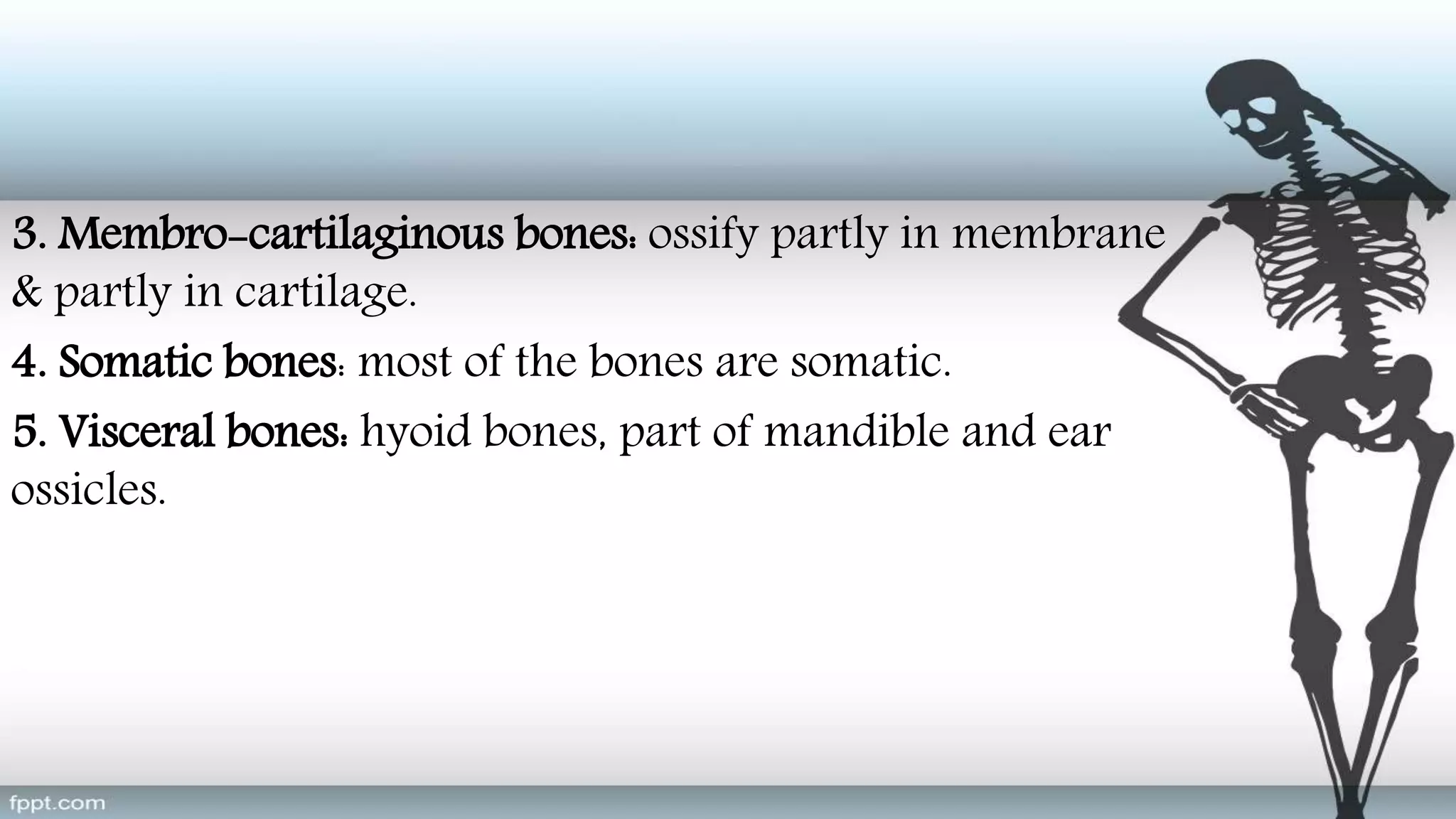 Purvi shah anatomy of bone ppt | PPTX