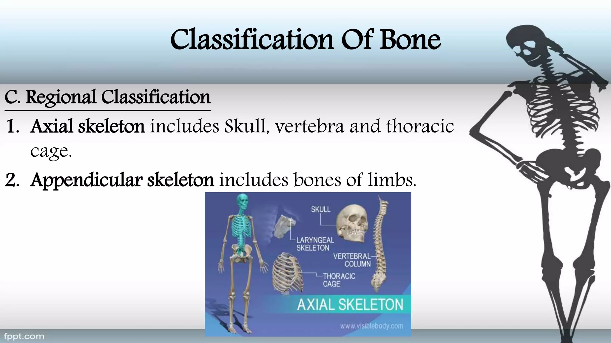 Purvi shah anatomy of bone ppt | PPTX